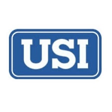 Deloitte M&A IT Role in USI - Blind