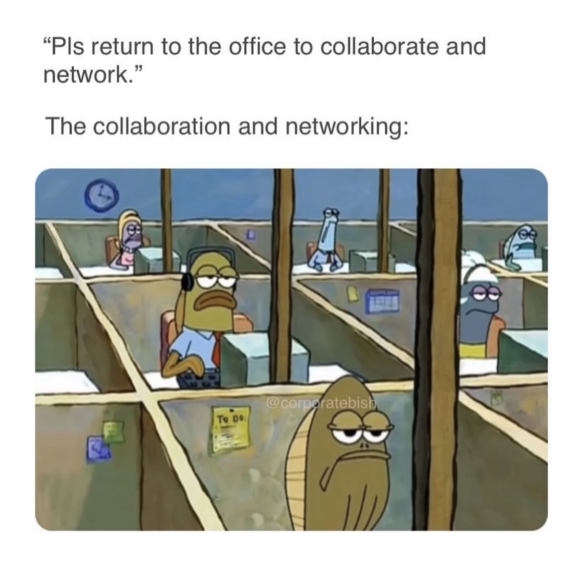 The RTO life | Work Memes - Blind