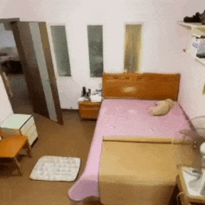 블라인드 | 블라블라: 주인이 없는 사이에.gif