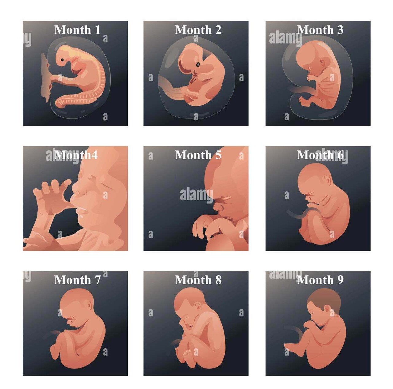 When is a baby not a human? | Working Parents - Blind