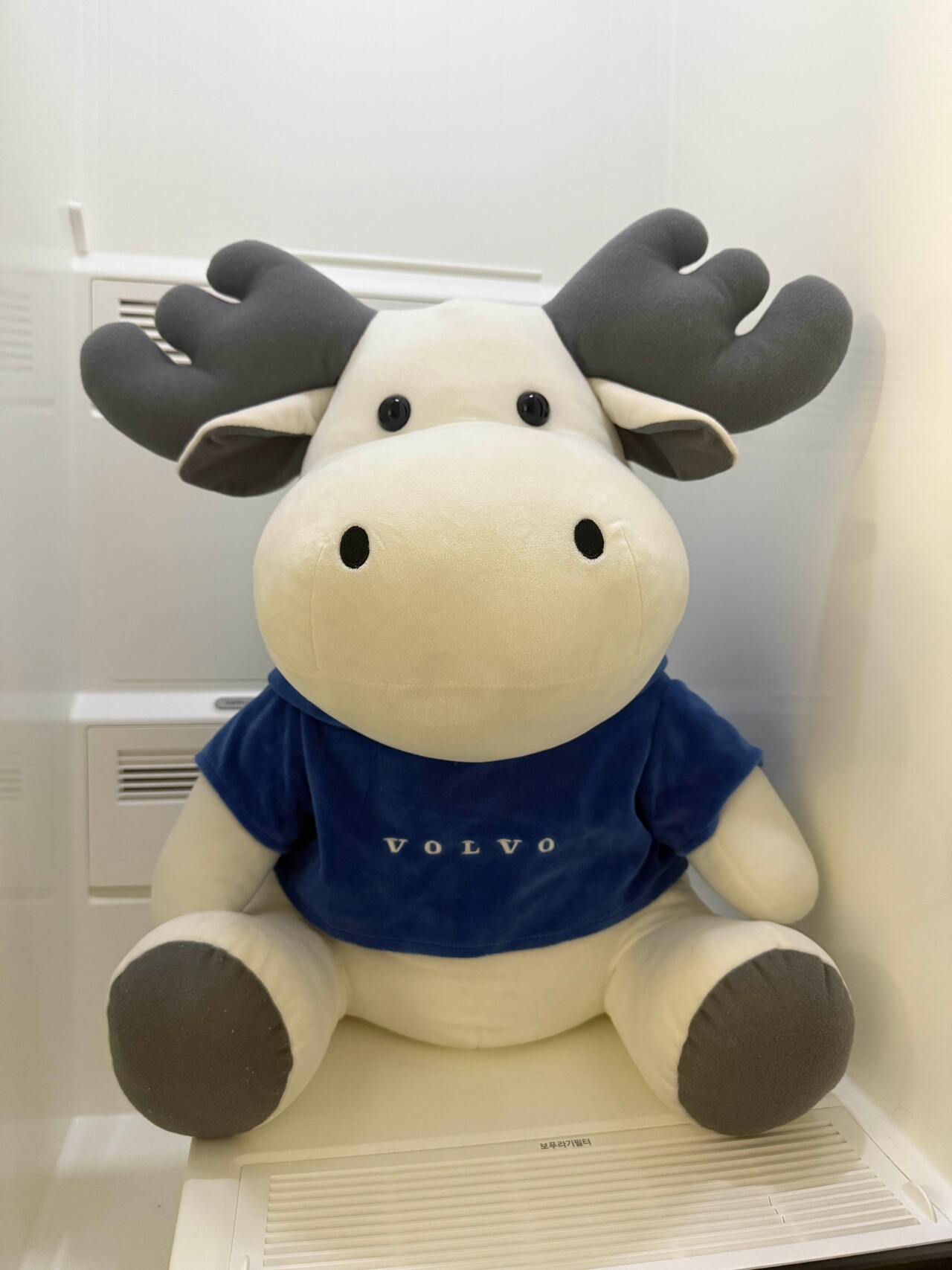 블라인드 | 🏫 아싸 대학교 🏫: 드라이브메이트 입양 했다!