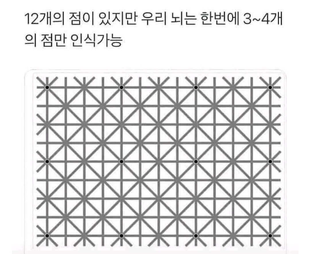 블라인드 | 블라블라: 점 볼 사람?