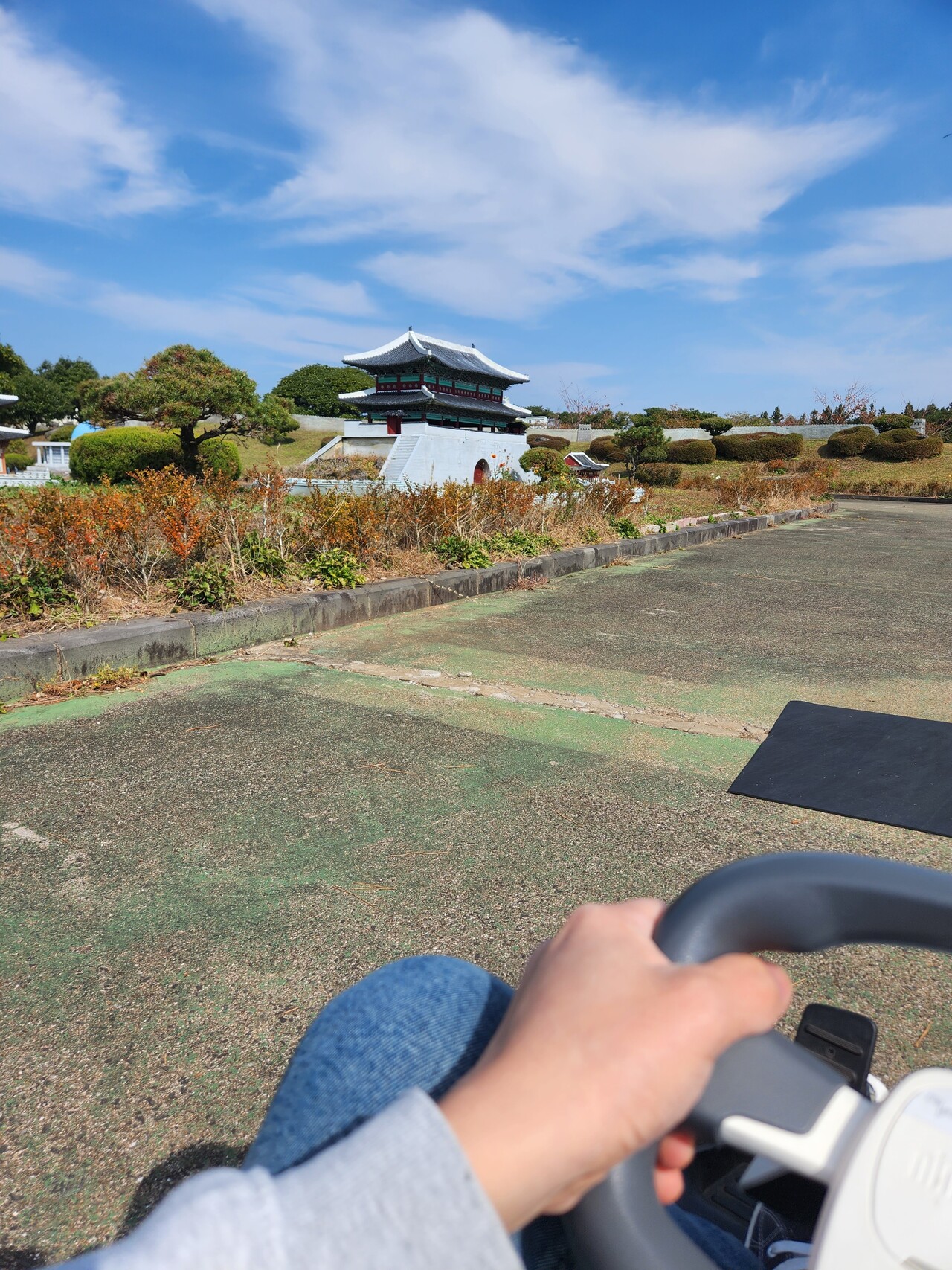 블라인드 | 여행·먹방: 여기는 제주도!