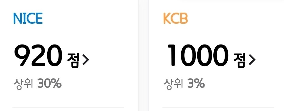 블라인드 | 블라블라: 신용점수 NICE가 더 신뢰도 높은거야?