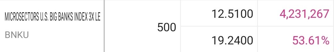 블라인드 | 주식·투자: 역발상 투자 결과(BNKU)