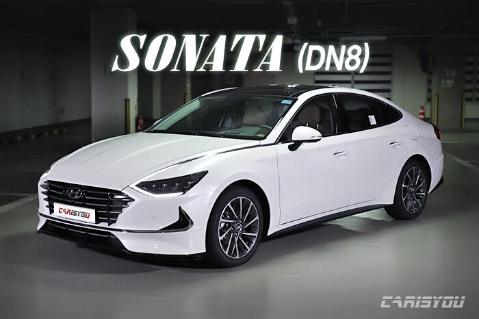 블라인드 | 자동차: LF쏘나타 vs 뉴라이즈 vs DN8