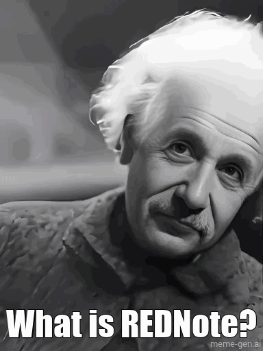 What do you think about Rednote being flooded with TikTok refugees ...