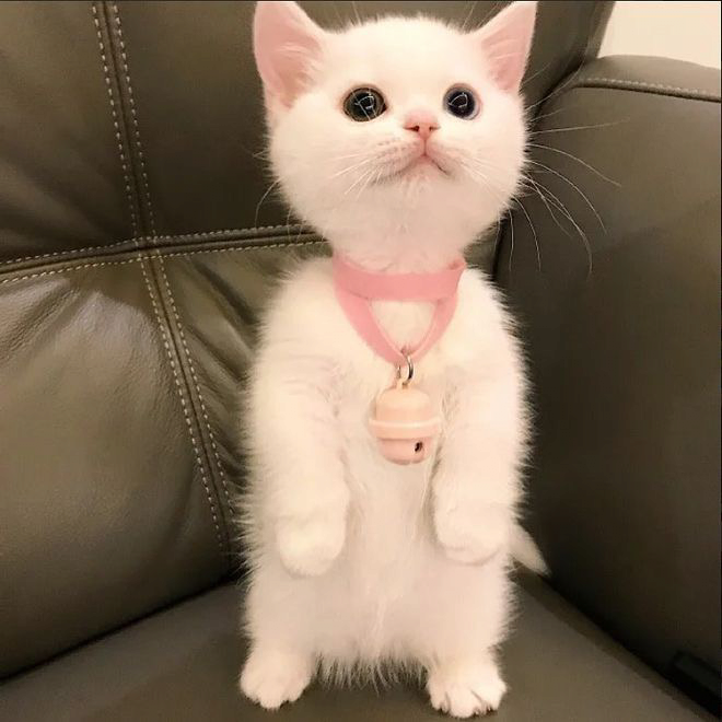 블라인드 | 블라블라: 공기업 지사계신분들