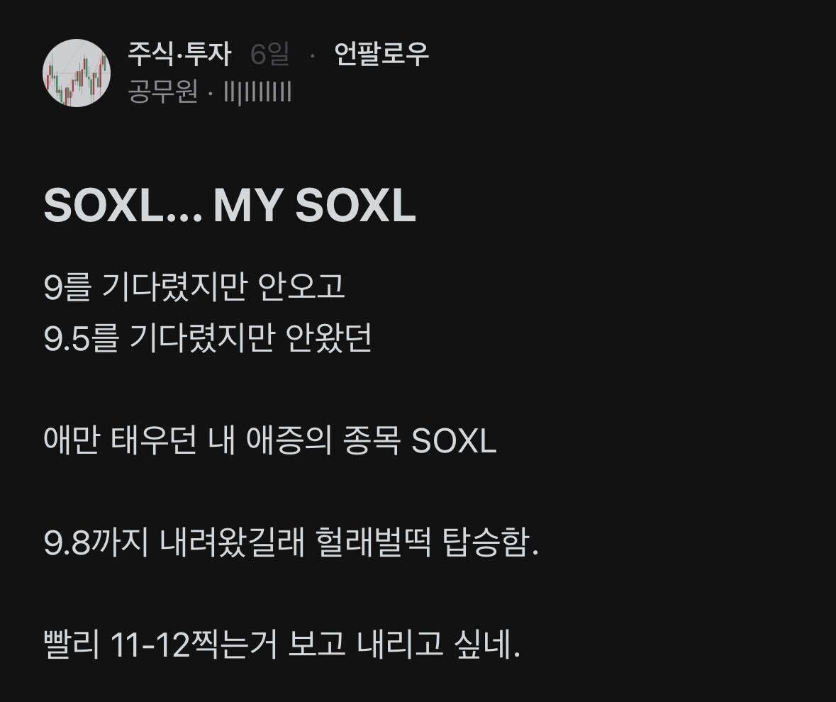 블라인드 | 주식·투자: SOXL에 5억 넣은 삼전형