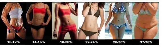 블라인드 | 헬스·다이어트: 여자 167cm / 52kg