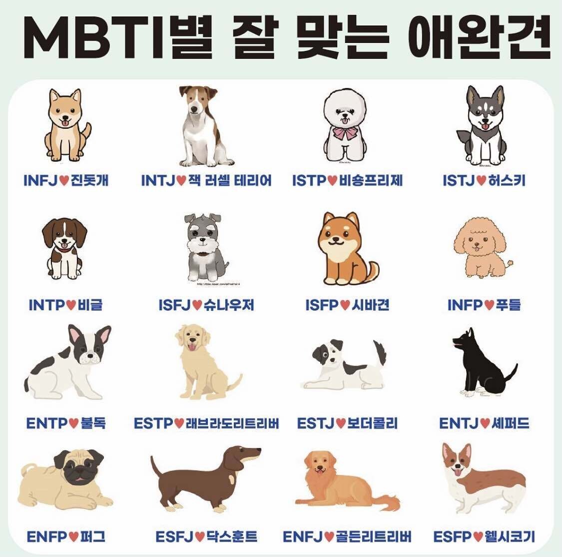 블라인드 | 반려동물: MBTI별 반려견