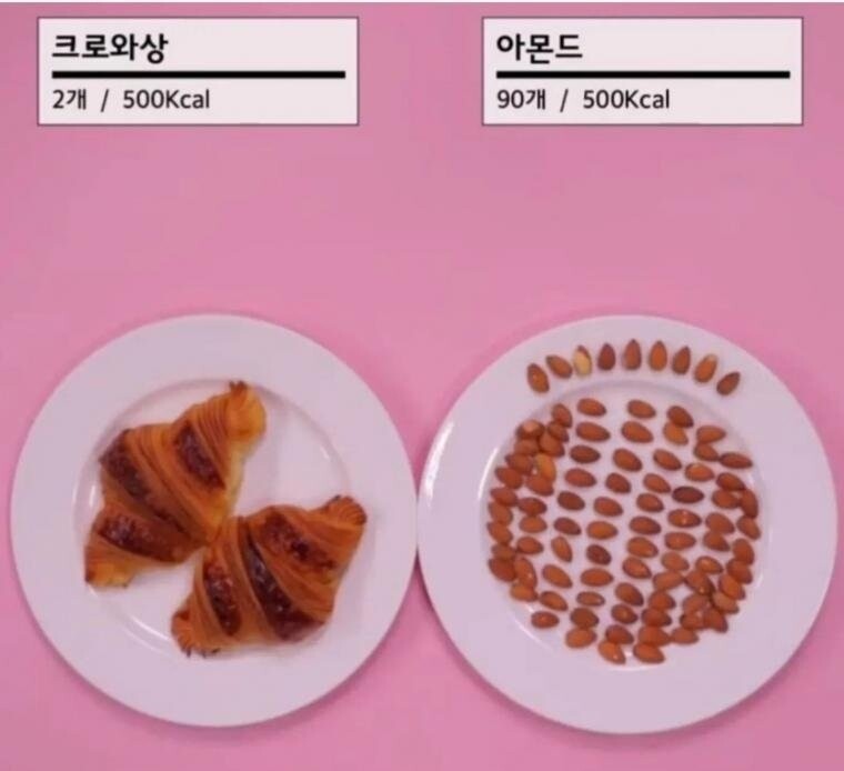 블라인드 | 블라블라: 500kcal을 섭취하는 방법