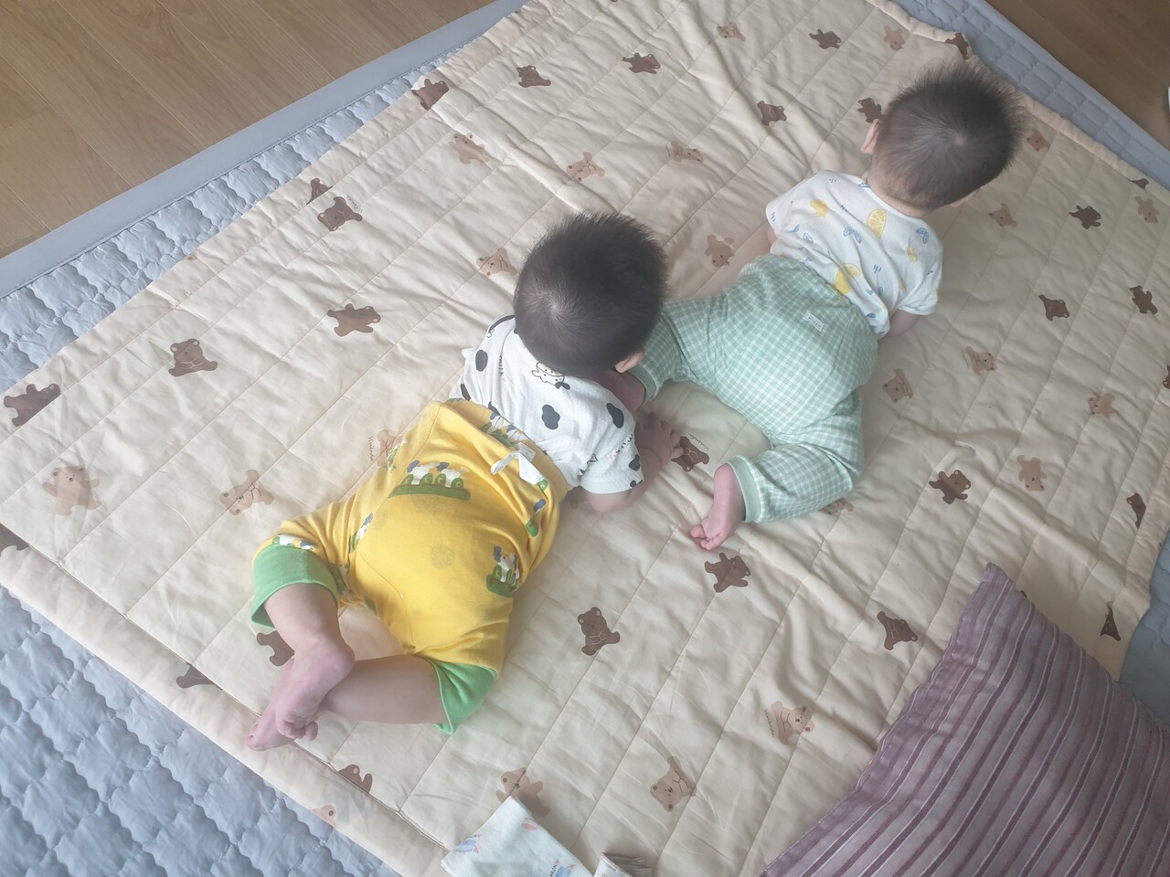 블라인드 | 육아: 아가들과 시작하는 연휴~