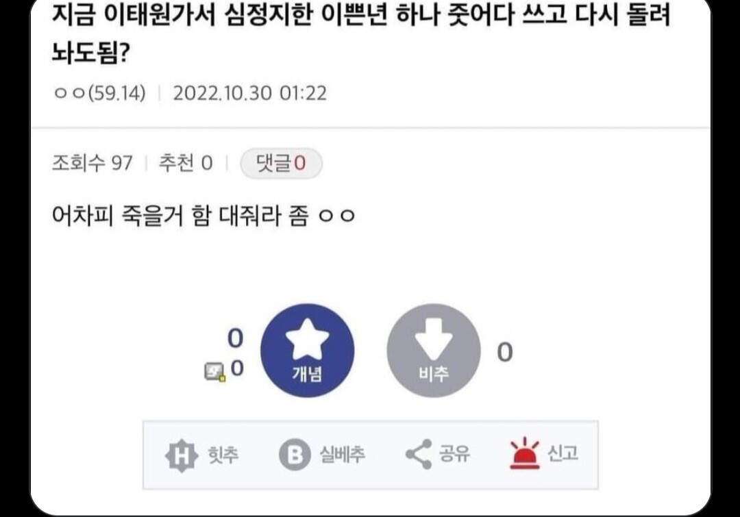 블라인드 블라블라 진짜 이태원동영상때문에 디시 잠깐 둘러봤는데
