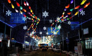 블라인드 | 블라블라: 강원도