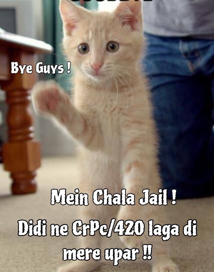 Doston mera cut gaya doston | India - Blind