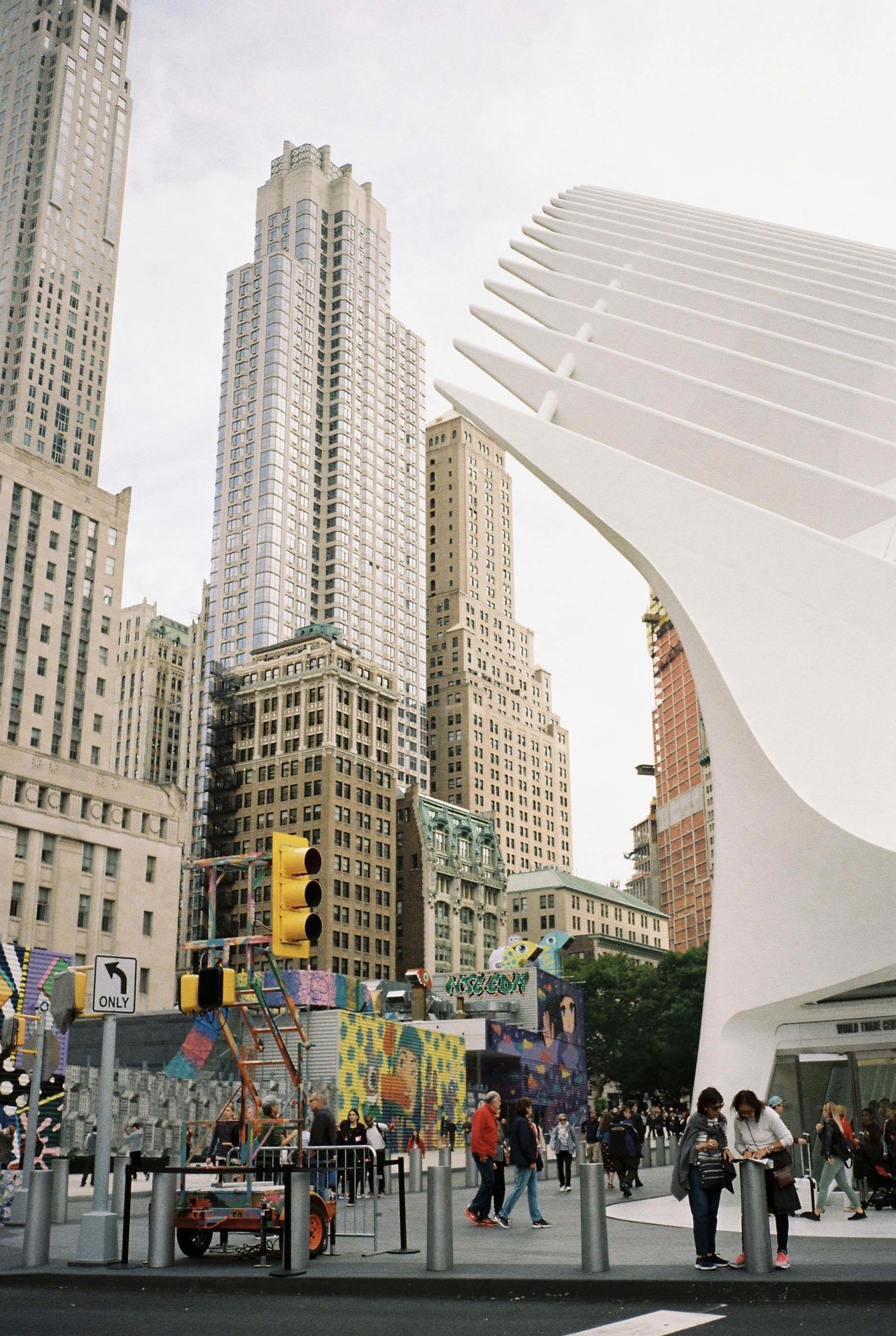 블라인드 | 여행·먹방: 여행필름사진 + 세로본능