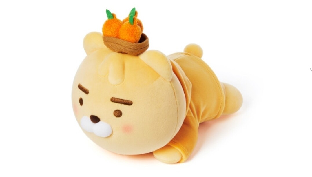 블라인드 | 블라블라: 감귤얹은 라이언인형 무료나눔할게요