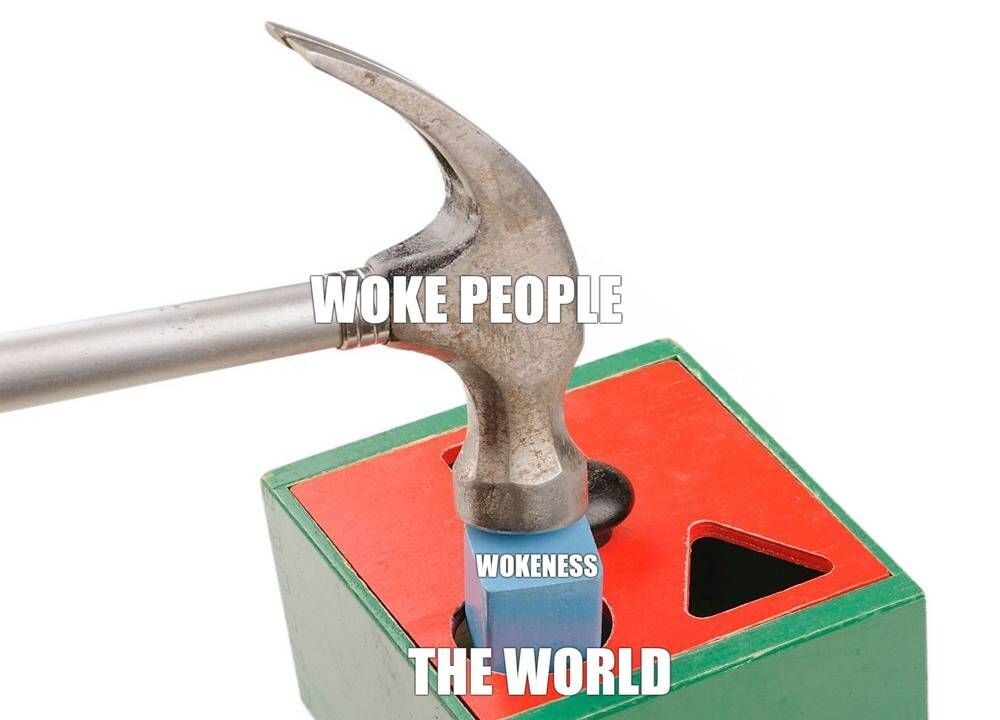 One image to explain why people hate the woke | White House & Policy ...