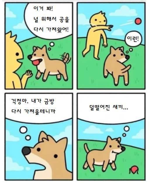 블라인드 | 유우머: (짤) 공놀이를 할 때 개들이 생각하는 것