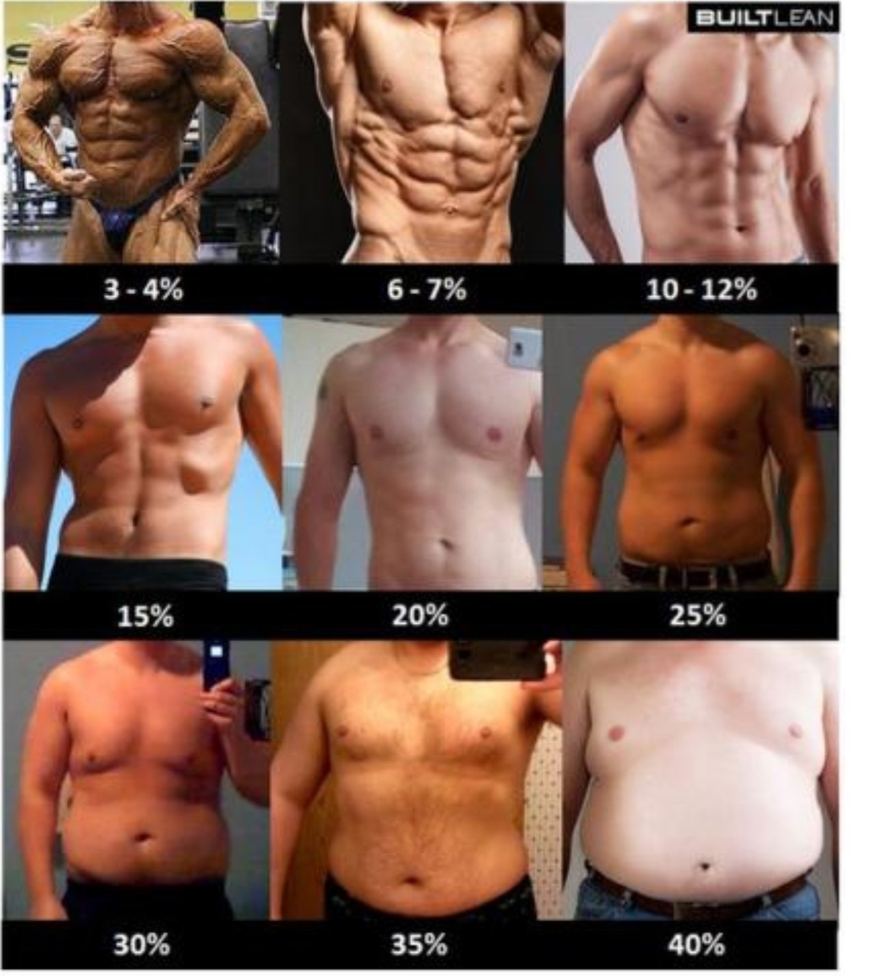 블라인드 | 헬스·다이어트: 남자 체지방률..