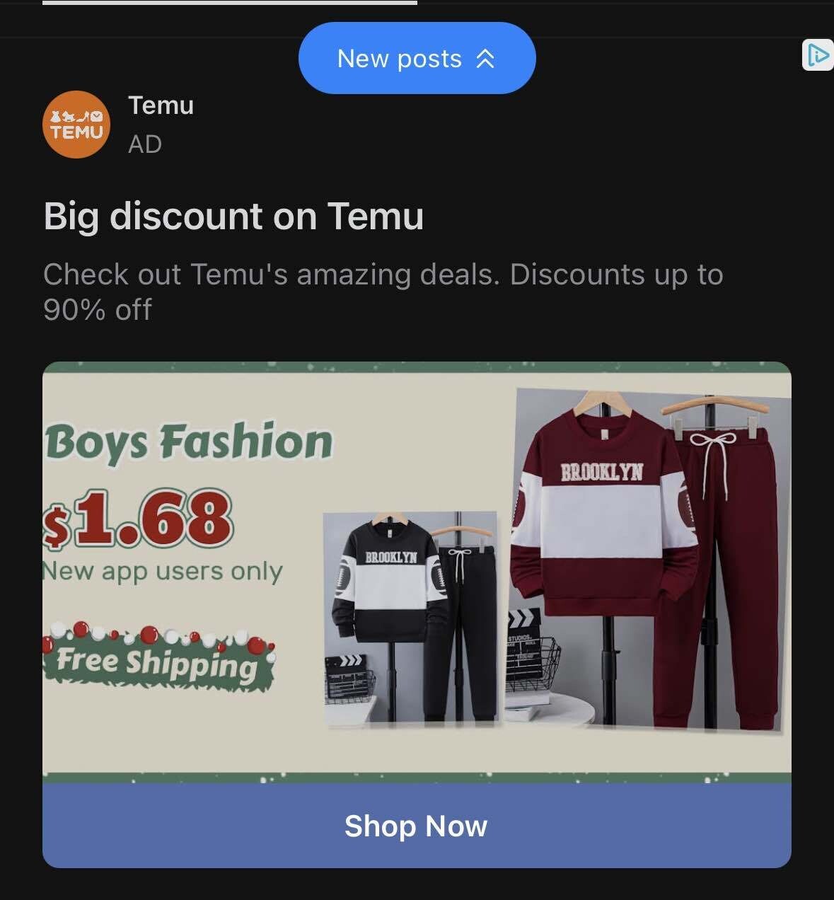 These temu ads getting ridiculous. Is it the new WISH? - Blind