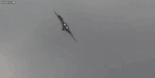 블라인드 | 블라블라: F-22의 멋진 기동력.gif