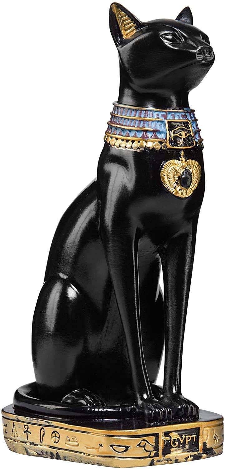 condescending cat - Blind