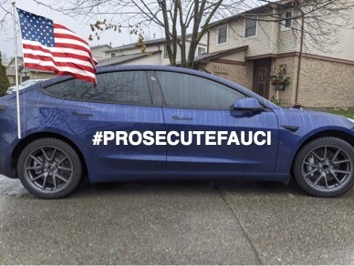 As a Tesla owner, how much cringe would you feel if something like this ...