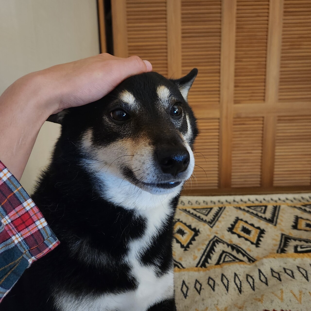 블라인드 | 블라블라: 잠이 덜깼나봐