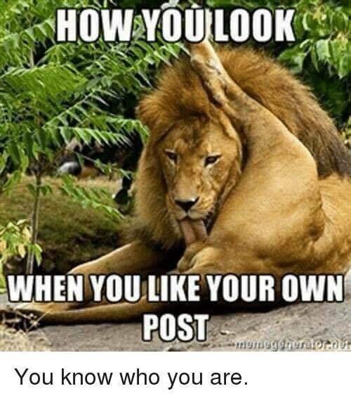 Liking Your Own Comment Meme
