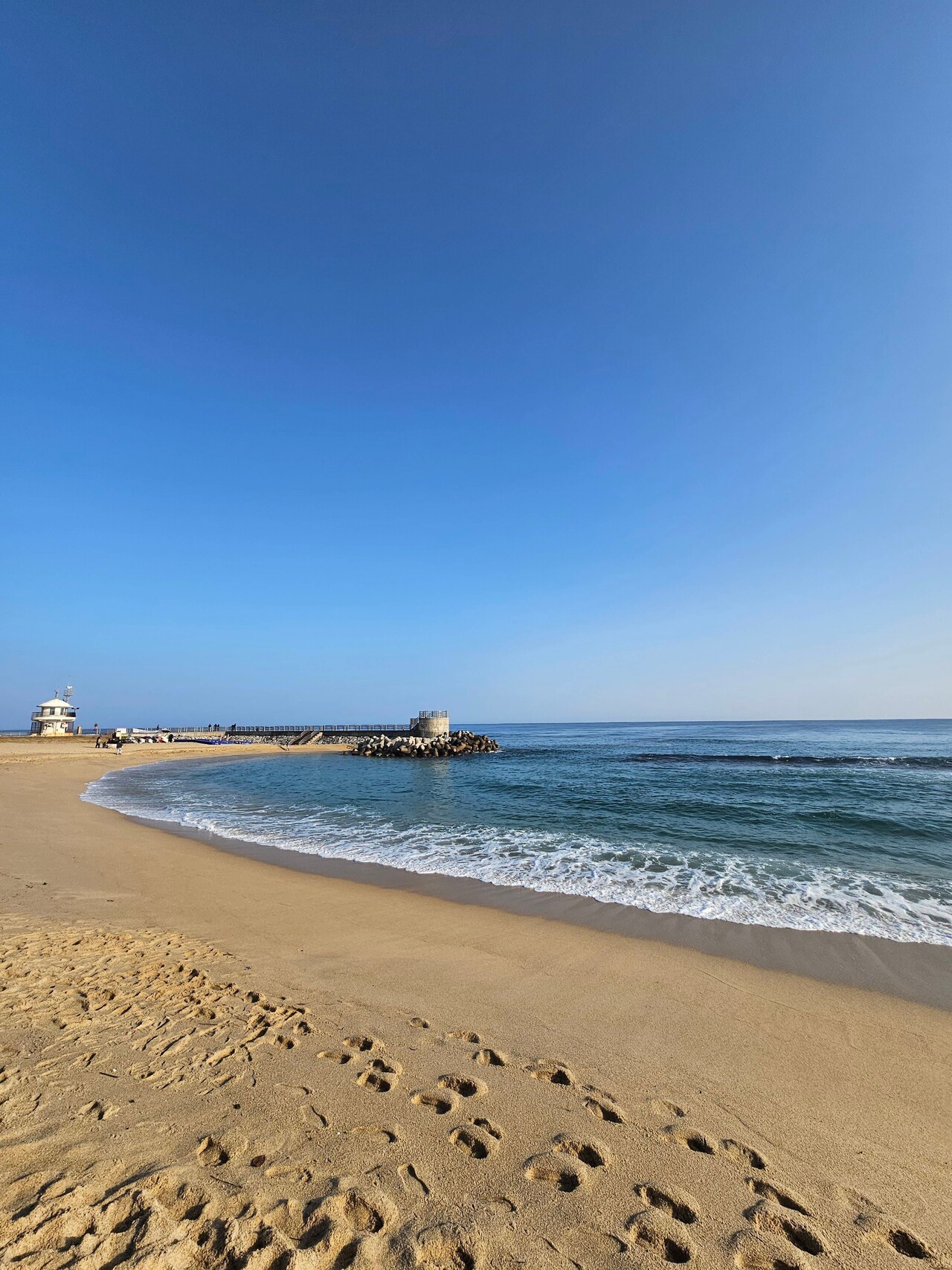 블라인드 | 여행·먹방: 강릉왔다