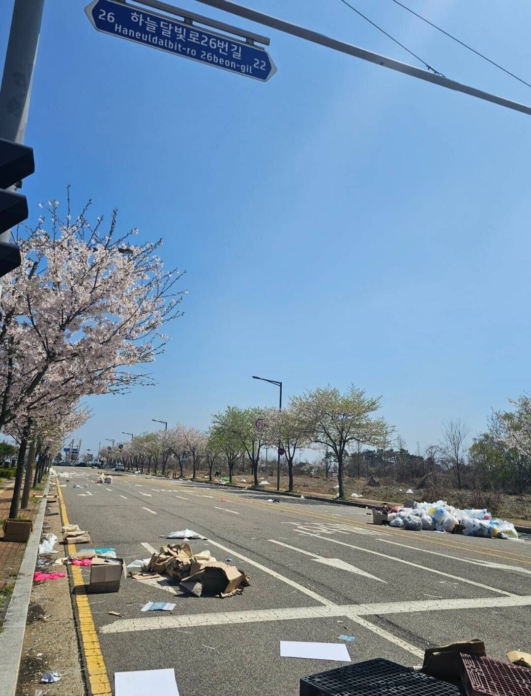 블라인드 | 나들이 명소: MBN 친환경 마라톤