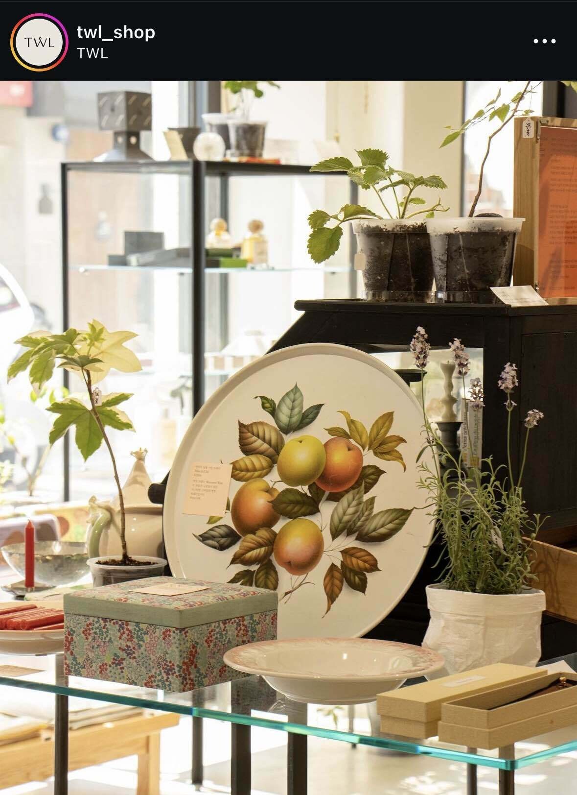 블라인드 | 인테리어 & 라이프 스타일: Twl shop