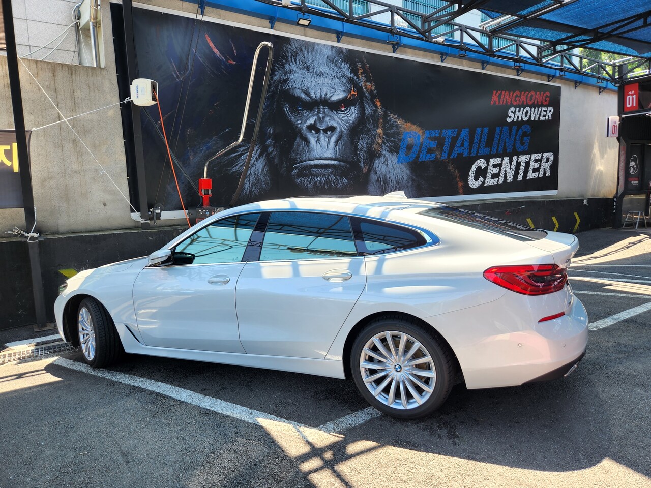 블라인드 | 자동차: 레인보우v90 / 솔라가드새턴 / 블락포디비바