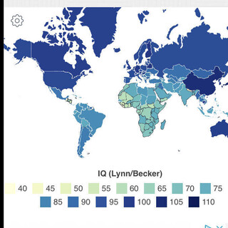 why Asians have the highest IQ ? | Misc. - Blind
