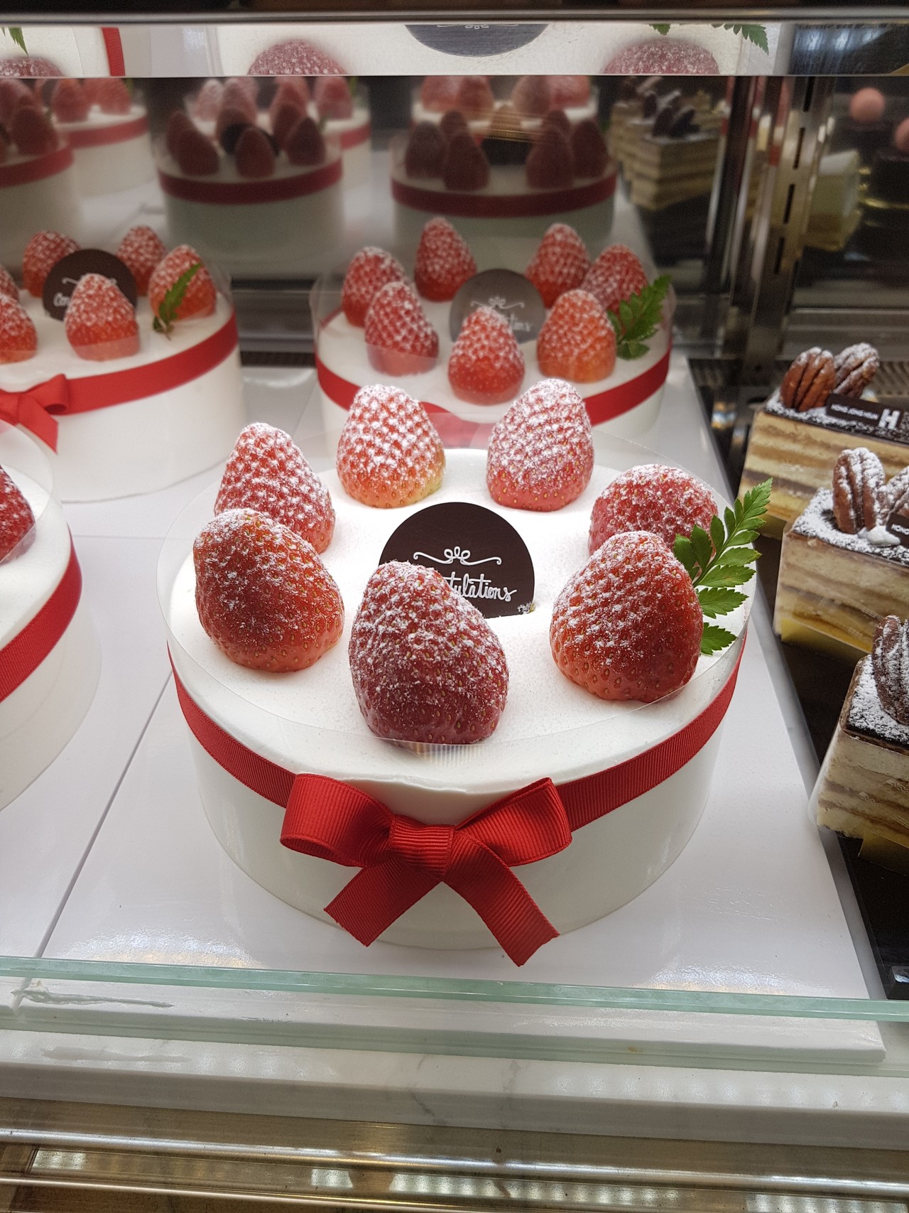 블라인드 | 여행·먹방: 인생 케이크가게 추천 좀용