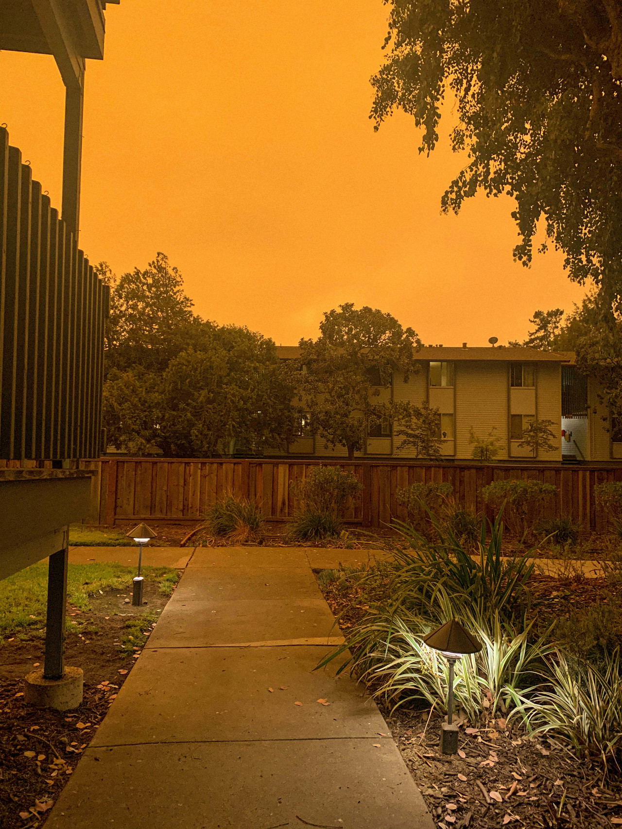 The 9AM view outside my Bay Area apartment - Blind