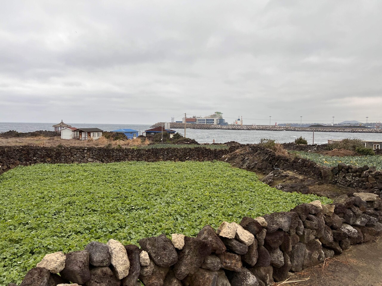 블라인드 | 블라블라: 3박4일 제주도 여행 후기